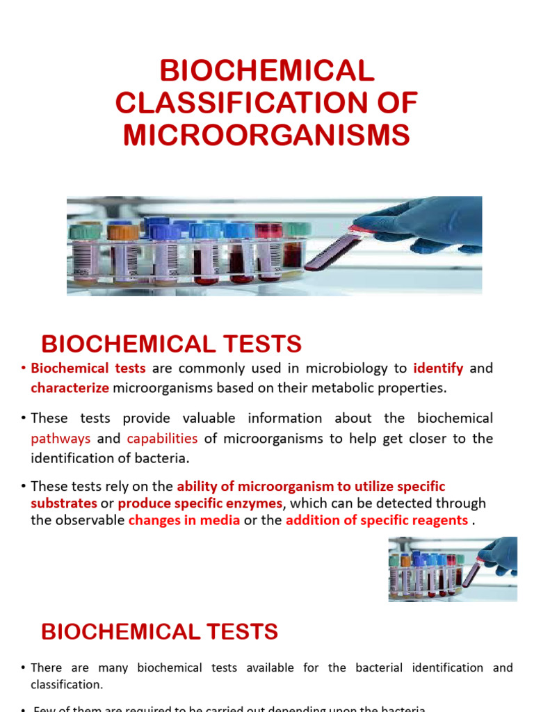 Biochemical Classification of Microorganisms | PDF | Carbohydrates ...