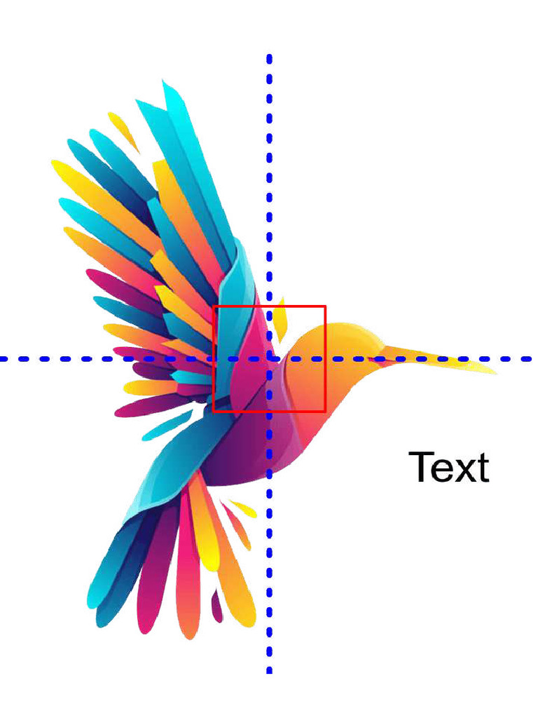 Dibujar Sobre Imagen R | PDF