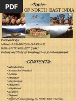 Travel Brochure On Assam - Revised | PDF