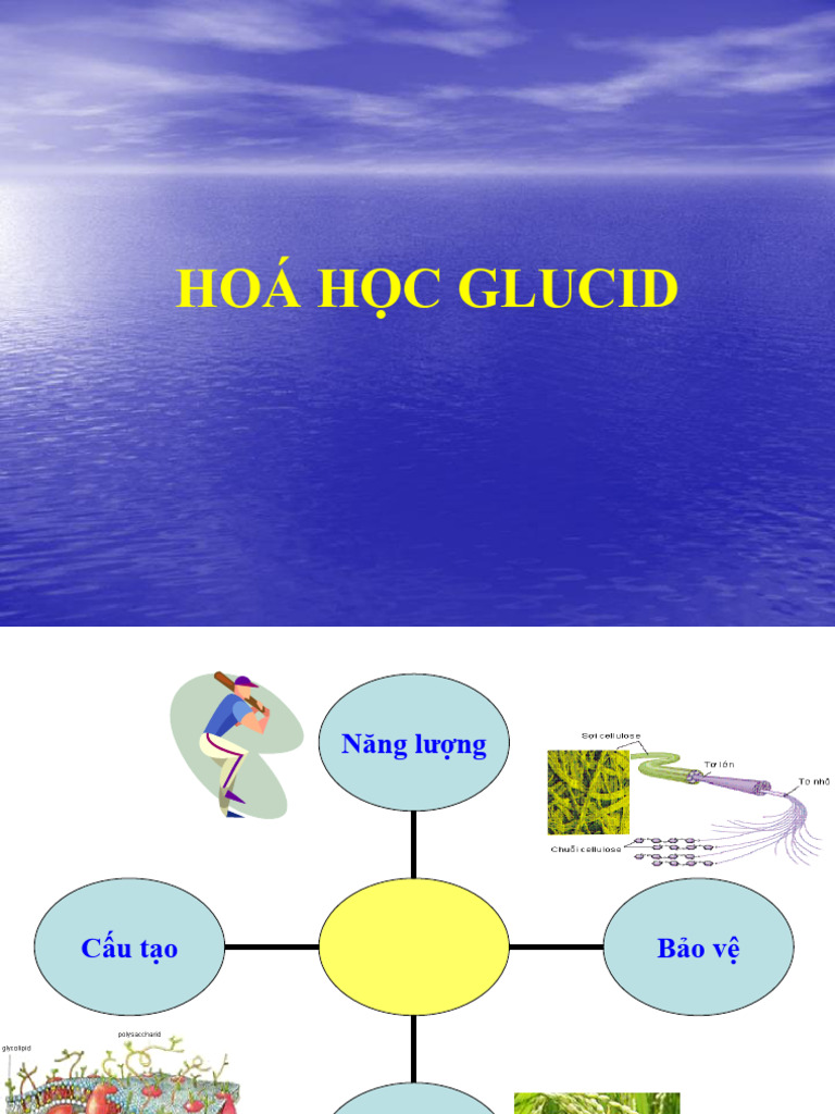 Hoá Học Glucid | PDF