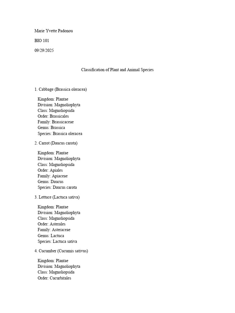 Classification Assignment Set2 | PDF