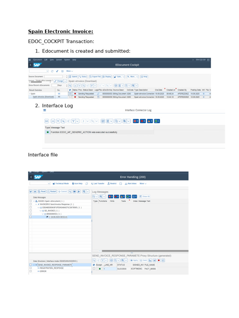 Spain Electronic Invoice Process Overview | PDF