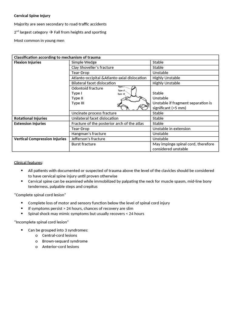 Cervical Spine Injury Overview and Management | PDF | Spinal Cord ...