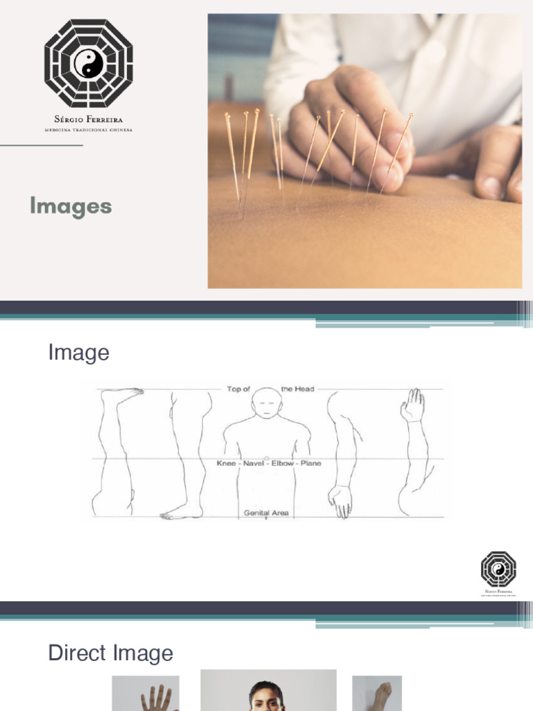 Body Mapping for Reflexology Treatments | PDF