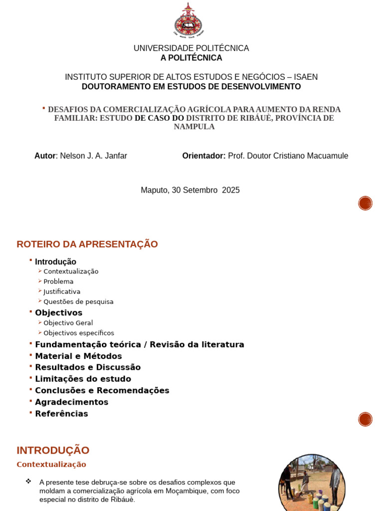 Desafios da Comercialização Agrícola em Ribáuè | PDF | Agricultura ...