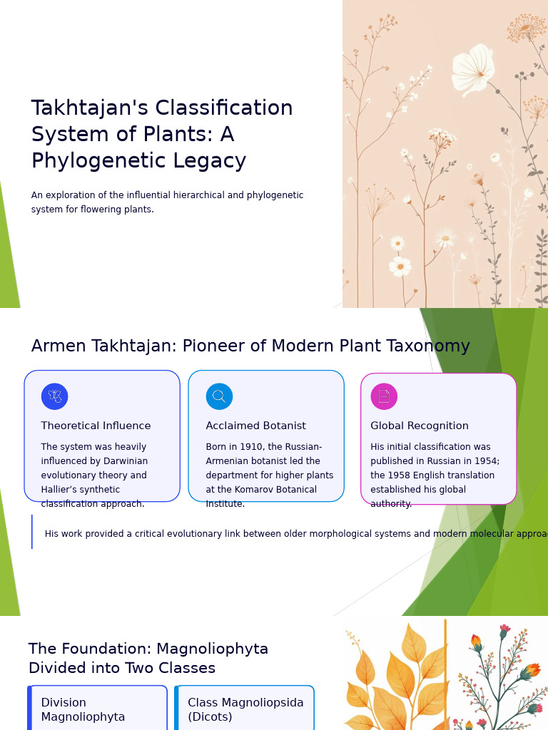 Takhtajans Classification System of Plants A Phylogenetic Legacy | PDF ...