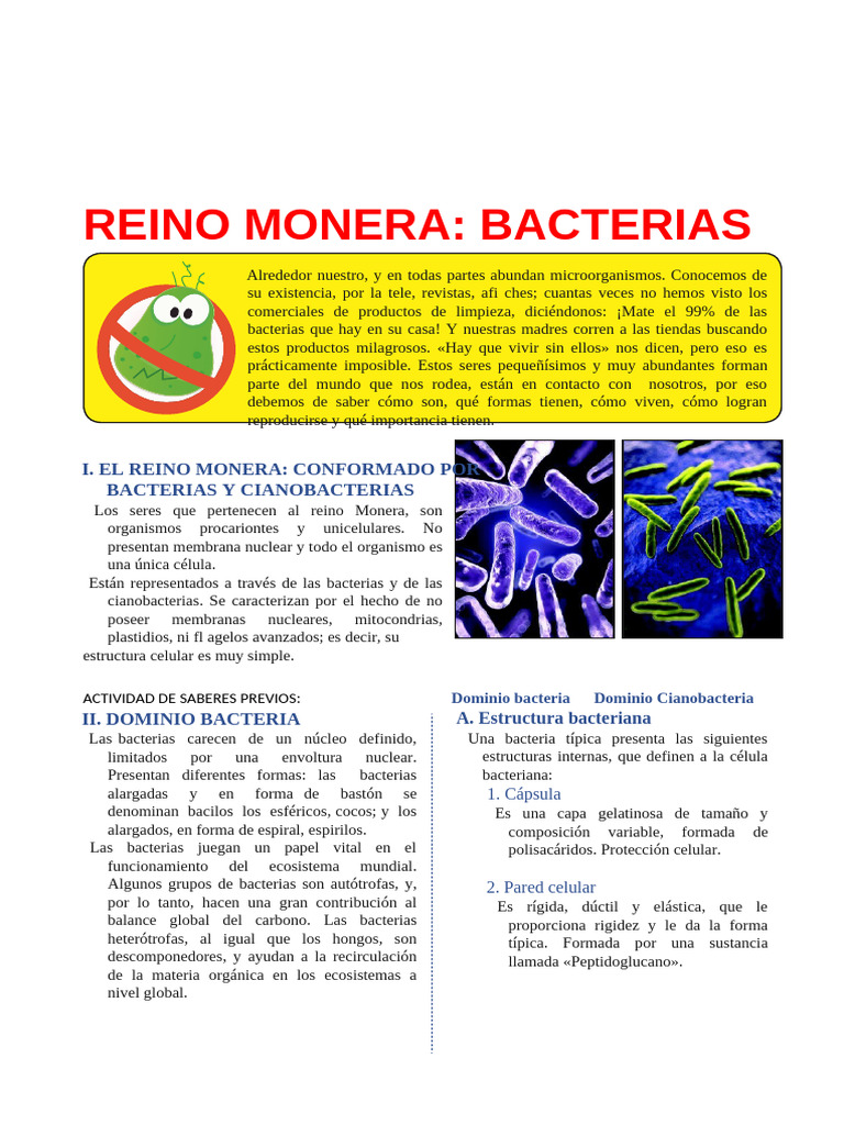 Bacterias y Cianobacterias del Reino Monera | PDF | Las bacterias ...