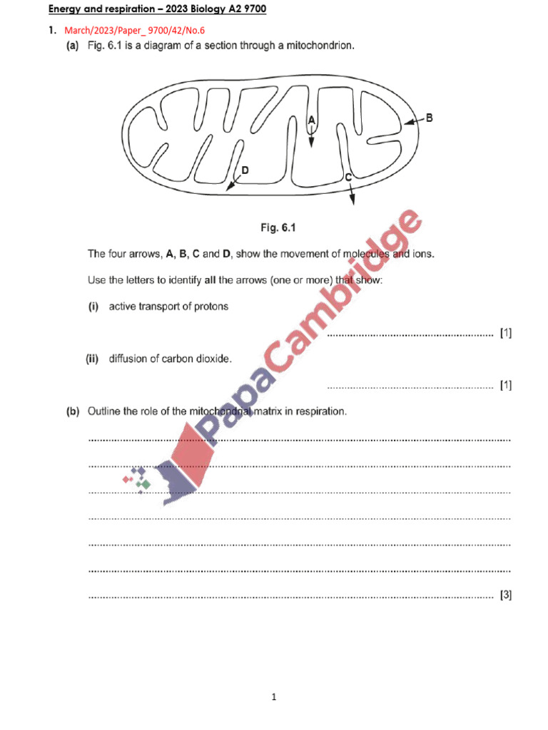 2023 Energy and Respiration Biology A2 9700 1 | PDF