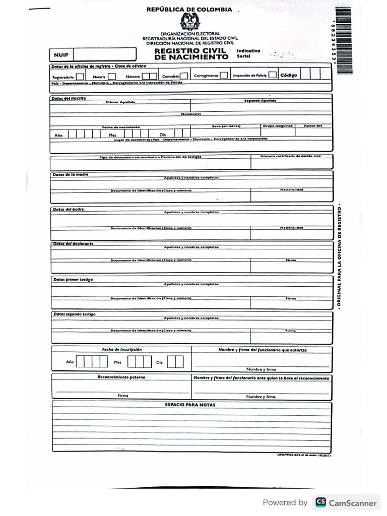 Registro Civil Modelos | PDF