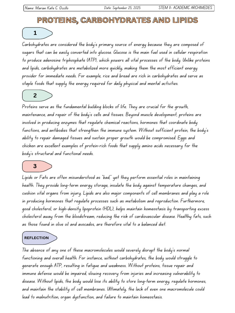 Notes 20250924 200622 0000 | PDF | Lipid | Carbohydrates