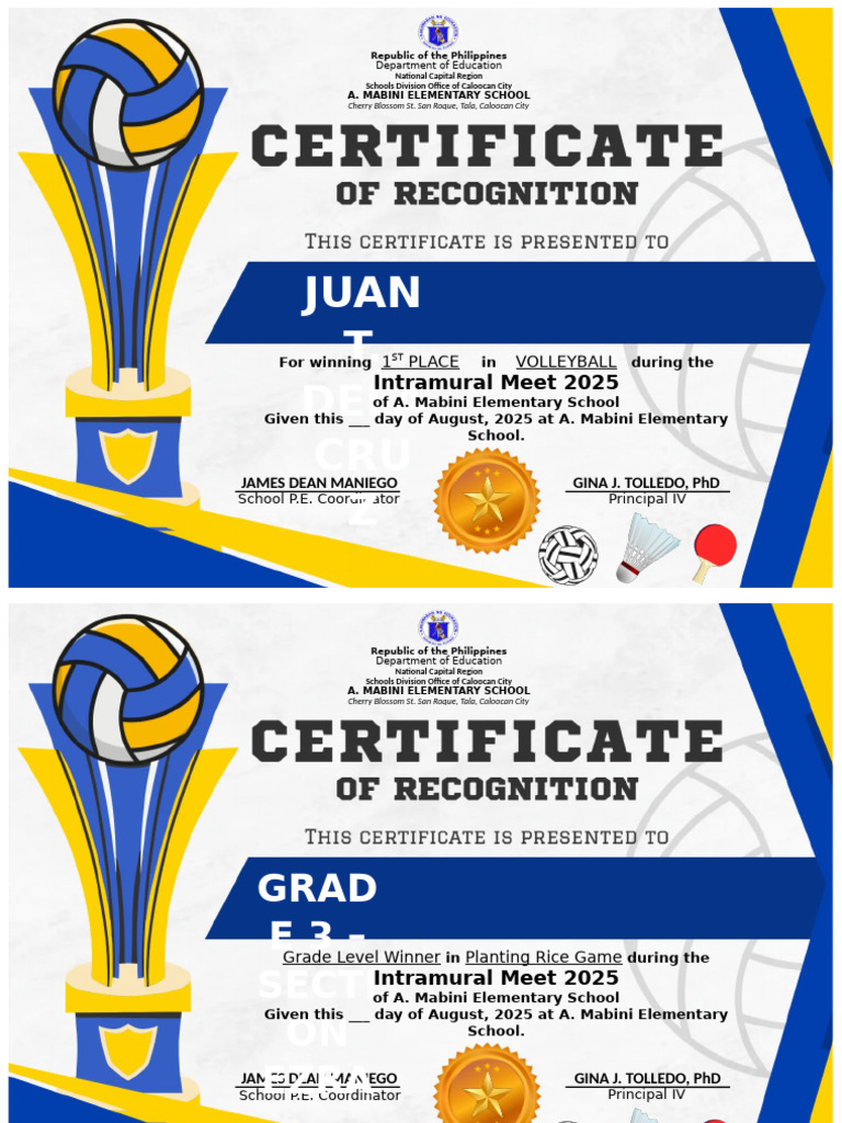 Certificate Intrams 2025 | PDF