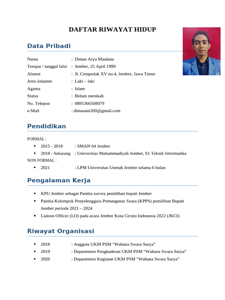 CV Dimmy | PDF