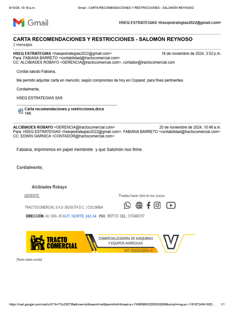 Gmail - Carta Recomendaciones y Restricciones - Salomón Reynoso | PDF