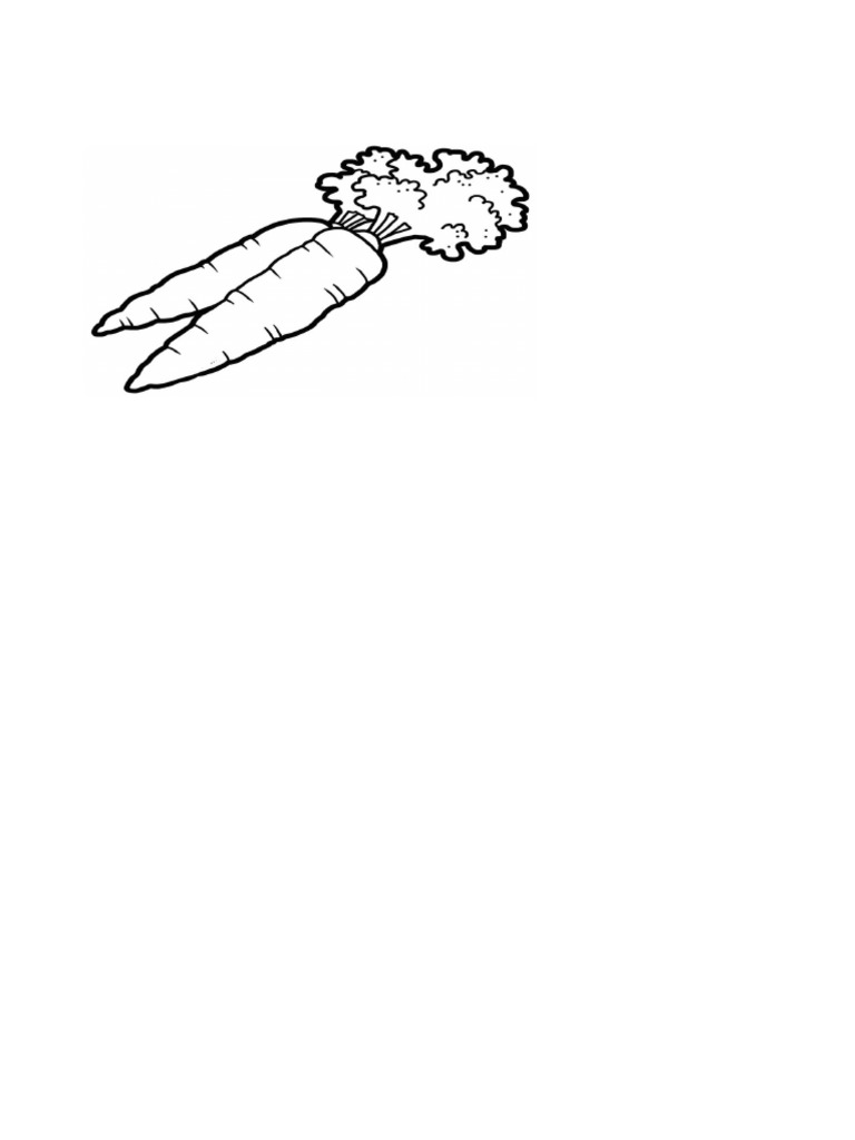 Carrot | PDF