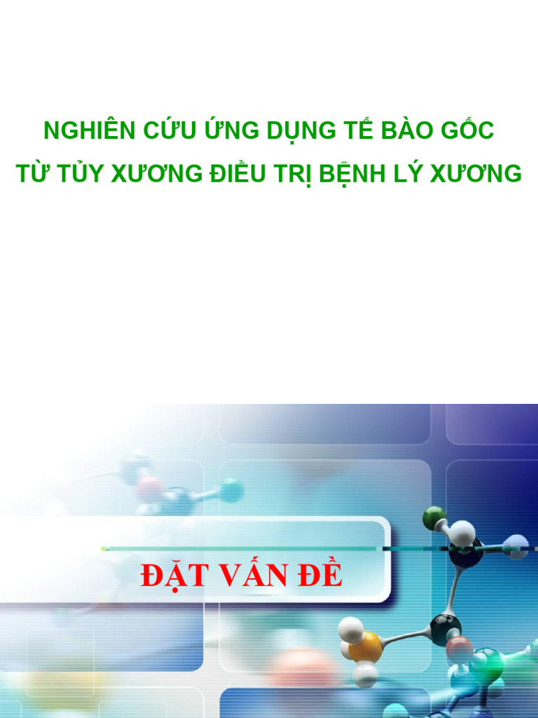 Tao Vat Lieu Thay Xuong 2025 | PDF
