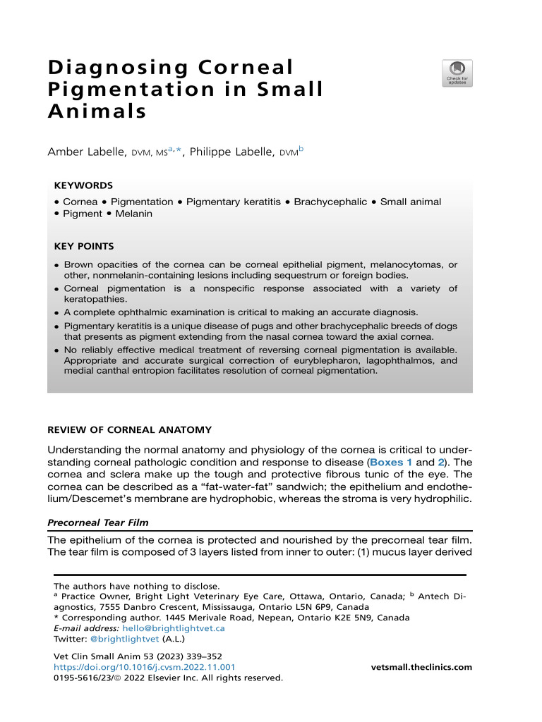 Diagnosing Corneal Pigmentation 2023 Veterinary Clinics of North ...