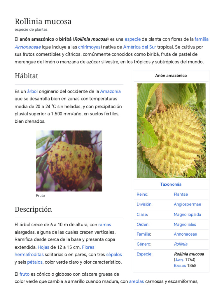 Rollinia Mucosa - Wikipedia, La Enciclopedia Libre | PDF | Botánica | Fruta