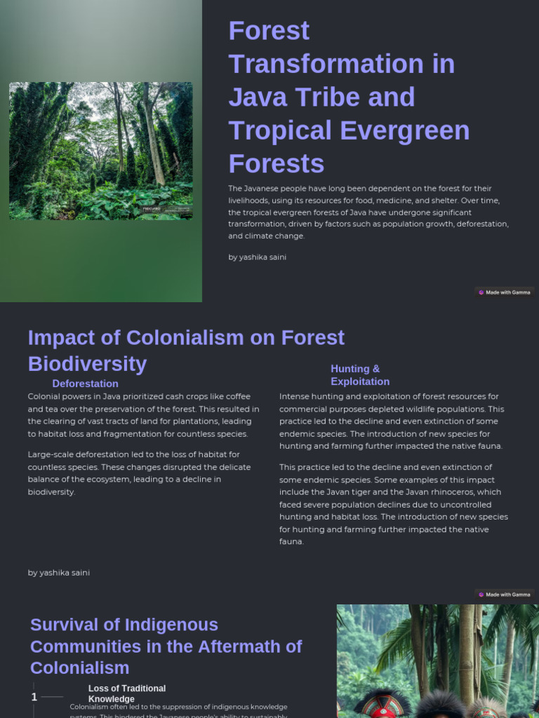 Forest Transformation in Java Tribe and Tropical Evergreen Forests ...