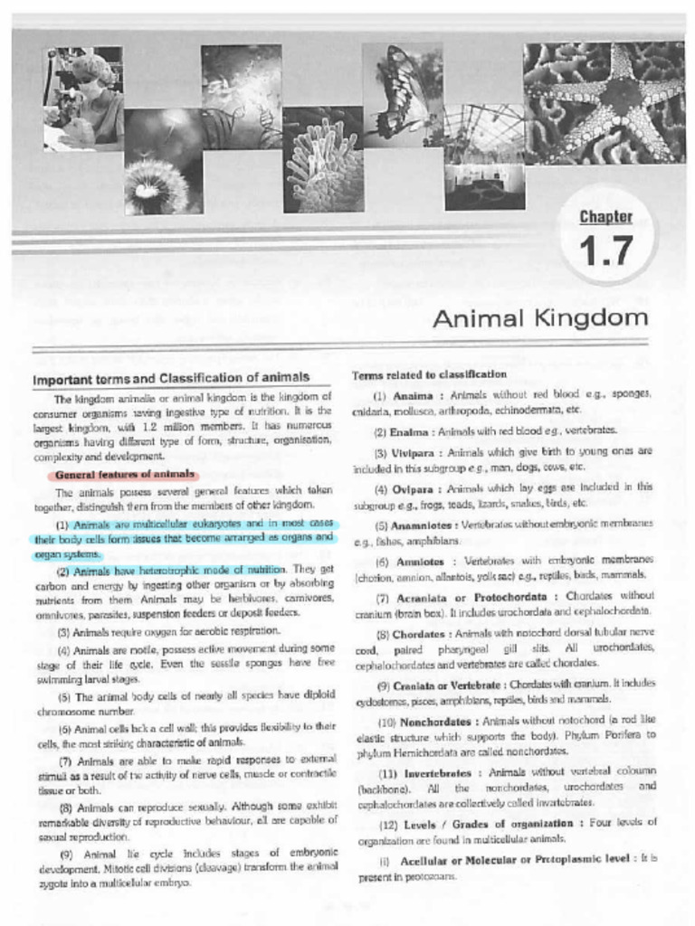 Biology Animal Kingdom Errorless | PDF