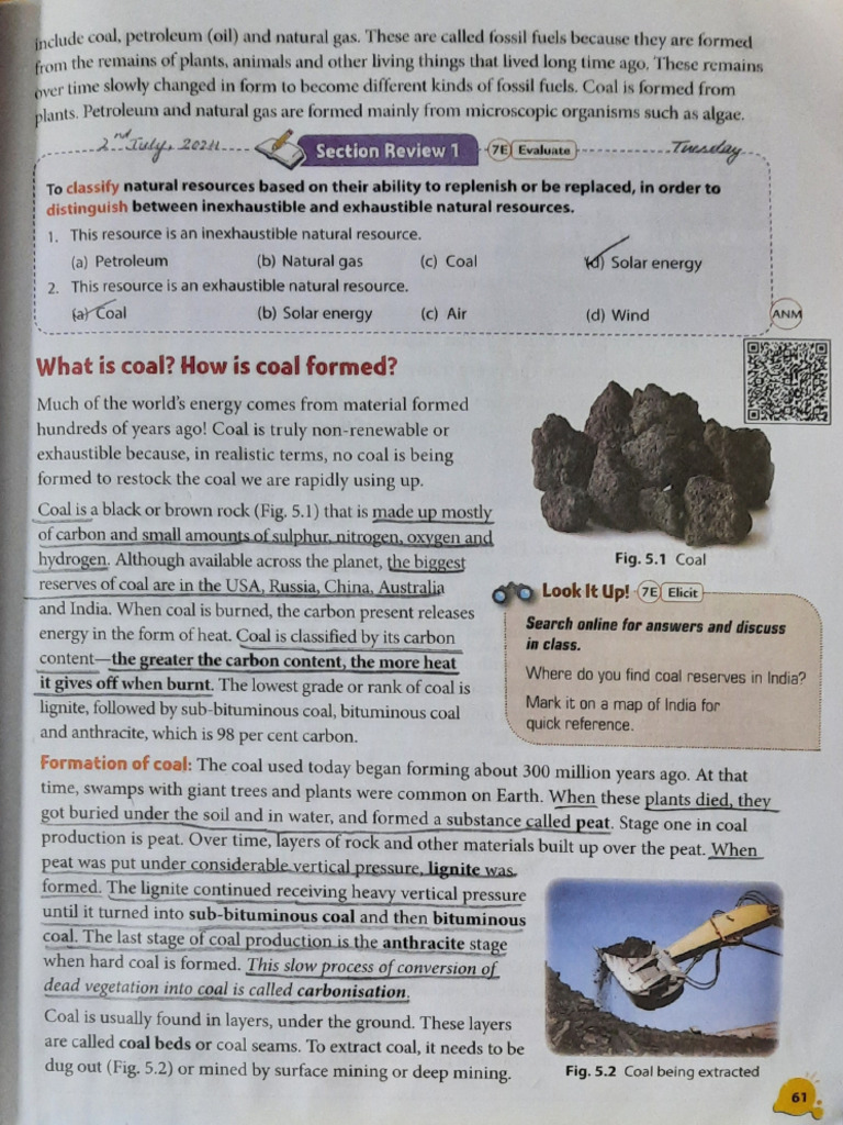 Coal and Petroleum | PDF