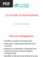Anatomie du Faisceau Pyramidal | PDF | Nerf | Cerveau