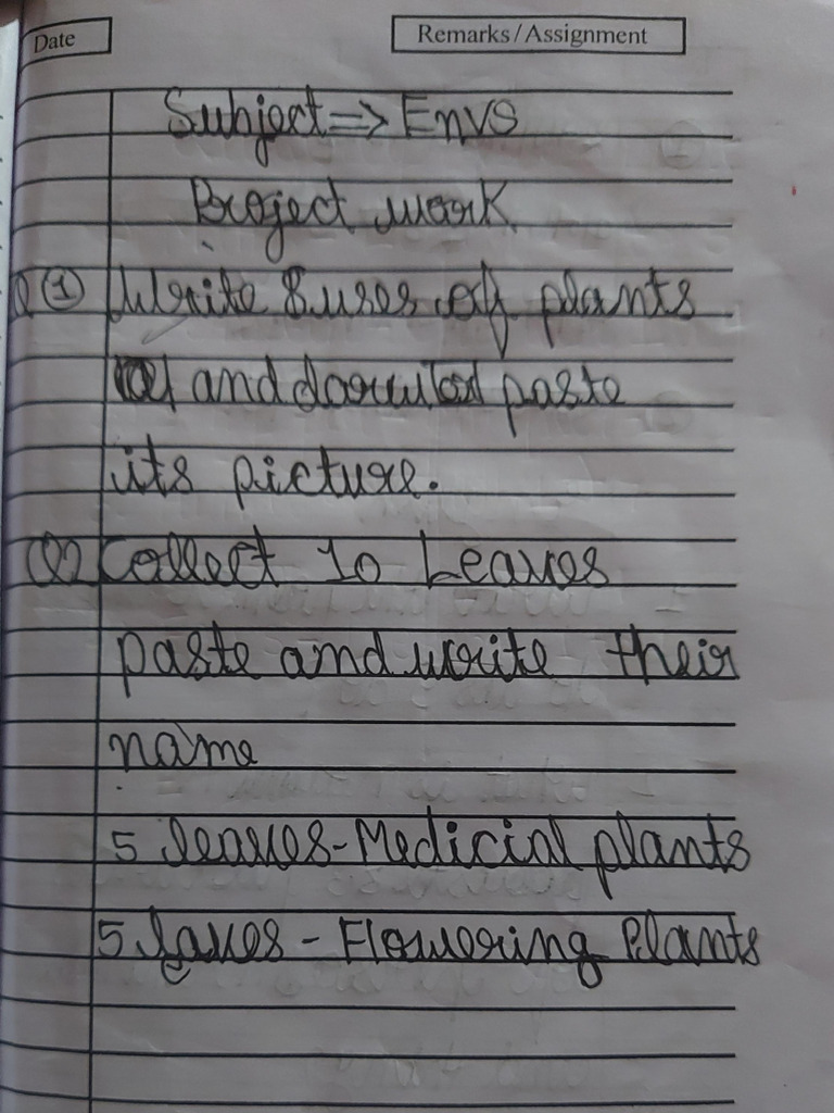 Class Project Work | PDF