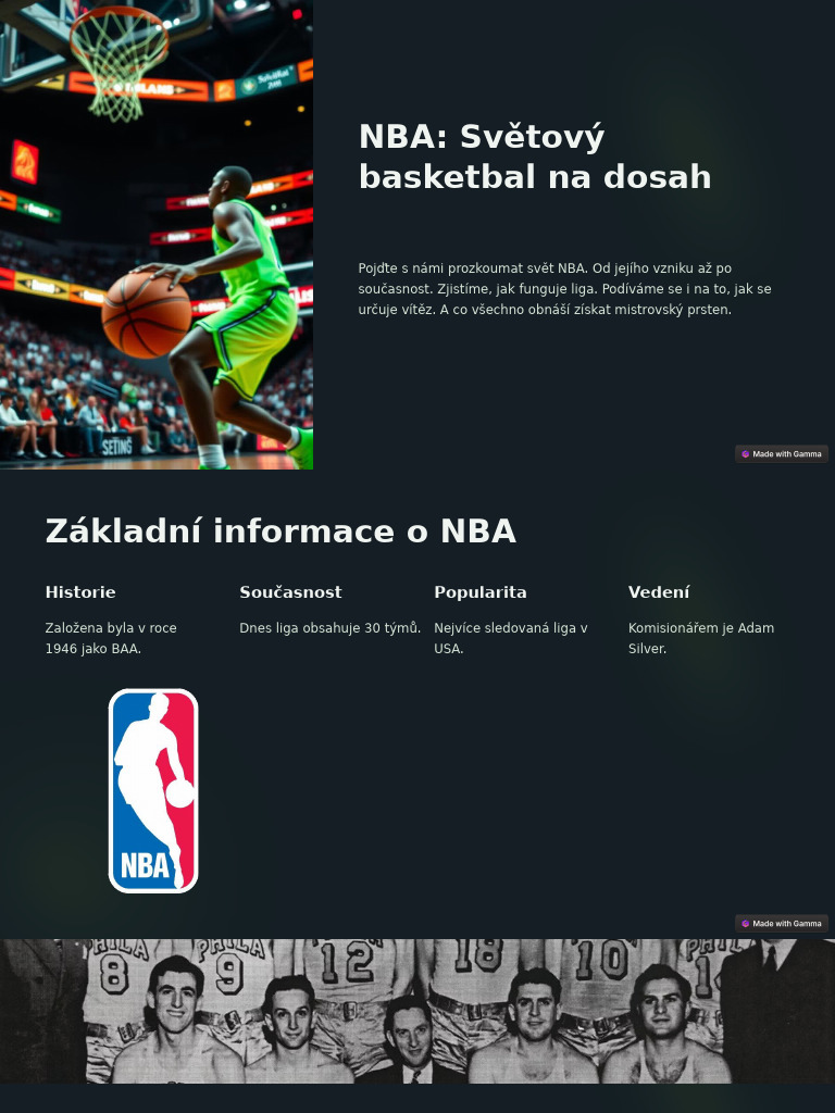 NBA - Horák, AI Prezentace | PDF