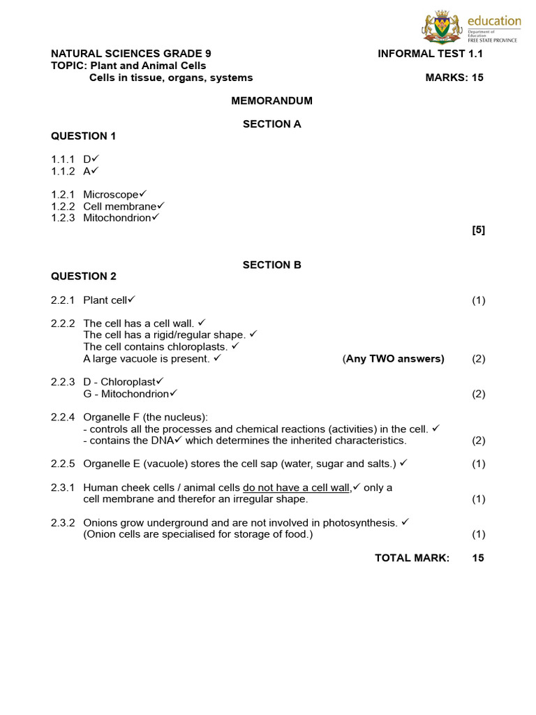 Ns Gr9 Informal Test 1.1 2025 Memorandum | PDF