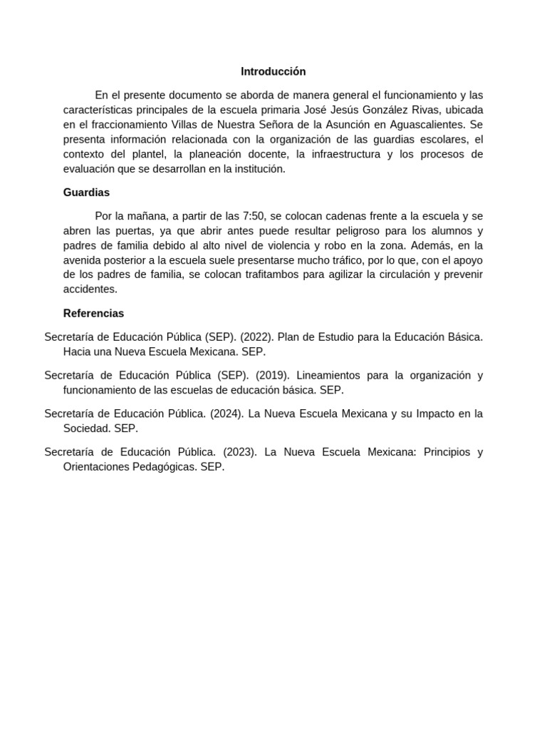 Informe Escuela JJGR Formato | PDF