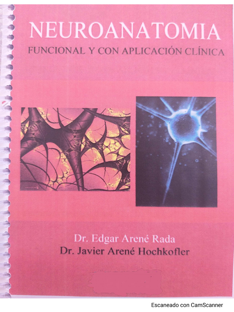 Libro de Neuroanatomia Año 2018. Dr. Edgar Arene | PDF