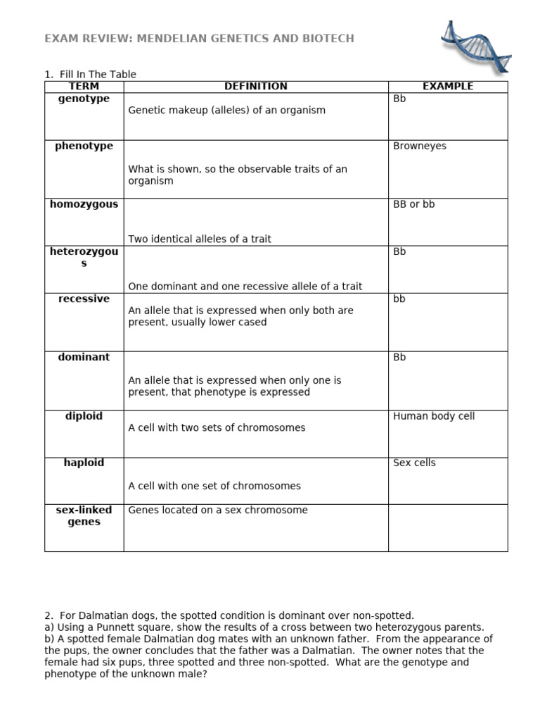 Copie de GeneticsExamReview | PDF | Genotype | Dominance (Genetics)