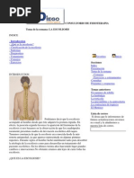Functional Mobility Scale (FMS) Funcionalidad y Marcha | PDF