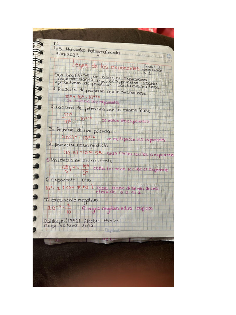 T1 Hernandez Rodriguez Ananda | PDF