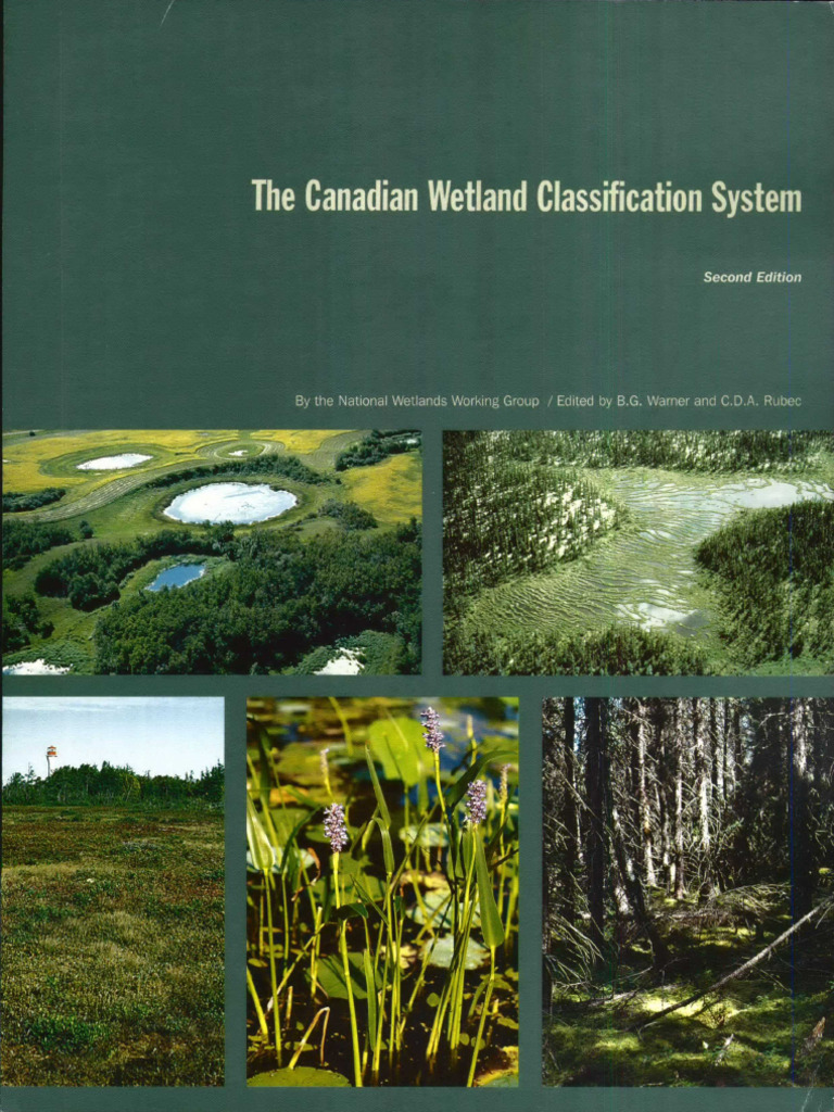 Wetland Classification System in Canada 1997 | PDF | Wetland | Peat