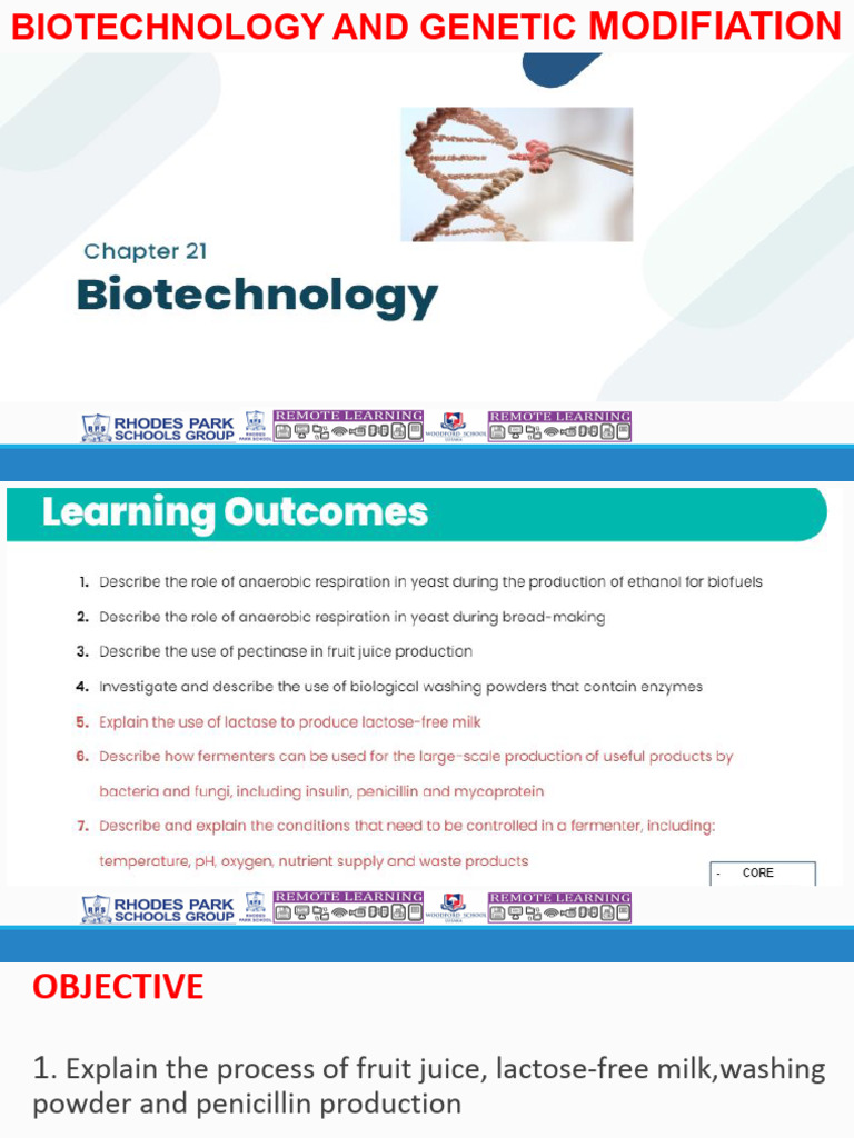 Biotechnology | PDF
