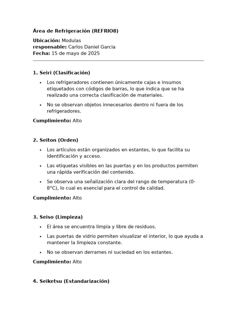 Reporte de 5S | PDF