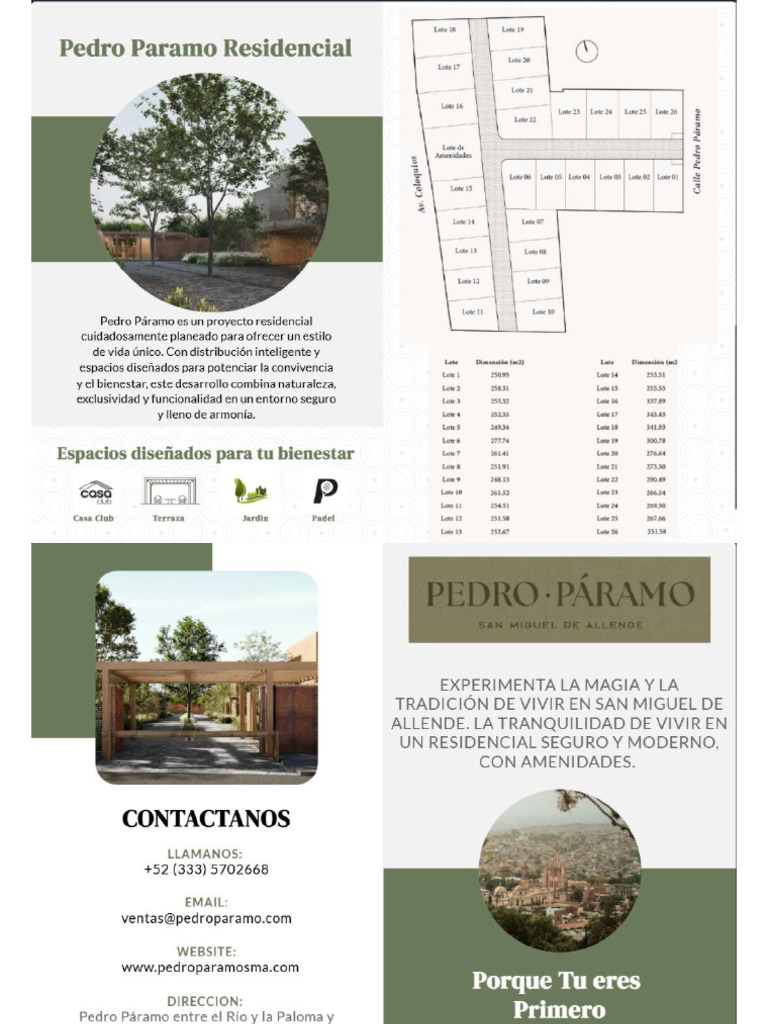 Diptico PP | PDF