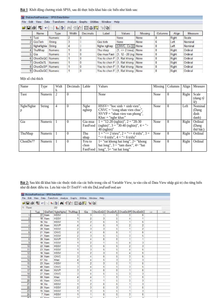 BT Phan 1 - Spss - Buoi1 | PDF