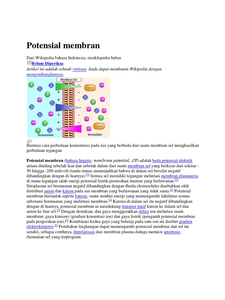 Potensial Membran | PDF | Seni | Sains & Matematika