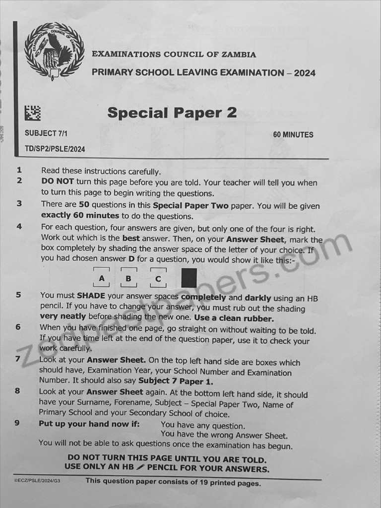 Special Paper 2 G7 2024 | PDF