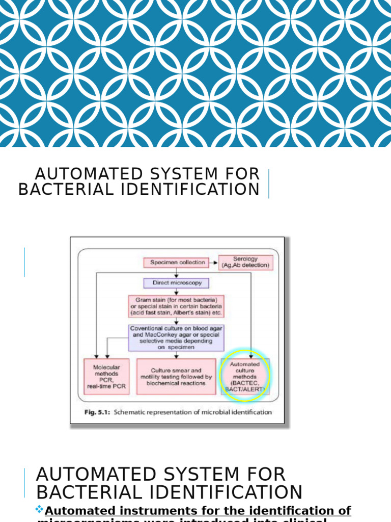 Automated System For Bacterial Identification | PDF | Bacteria ...