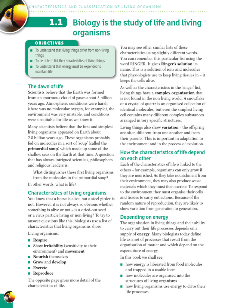 Characteristics and Classification of Life | PDF | Leaf | Plants