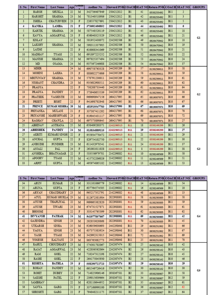 Passenger Details and PNR Information | PDF