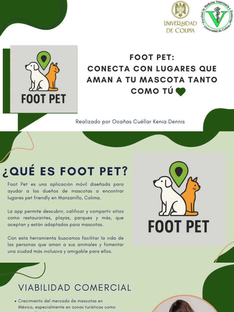 App Foot Pet | PDF | Aplicación movil | Computación en la nube
