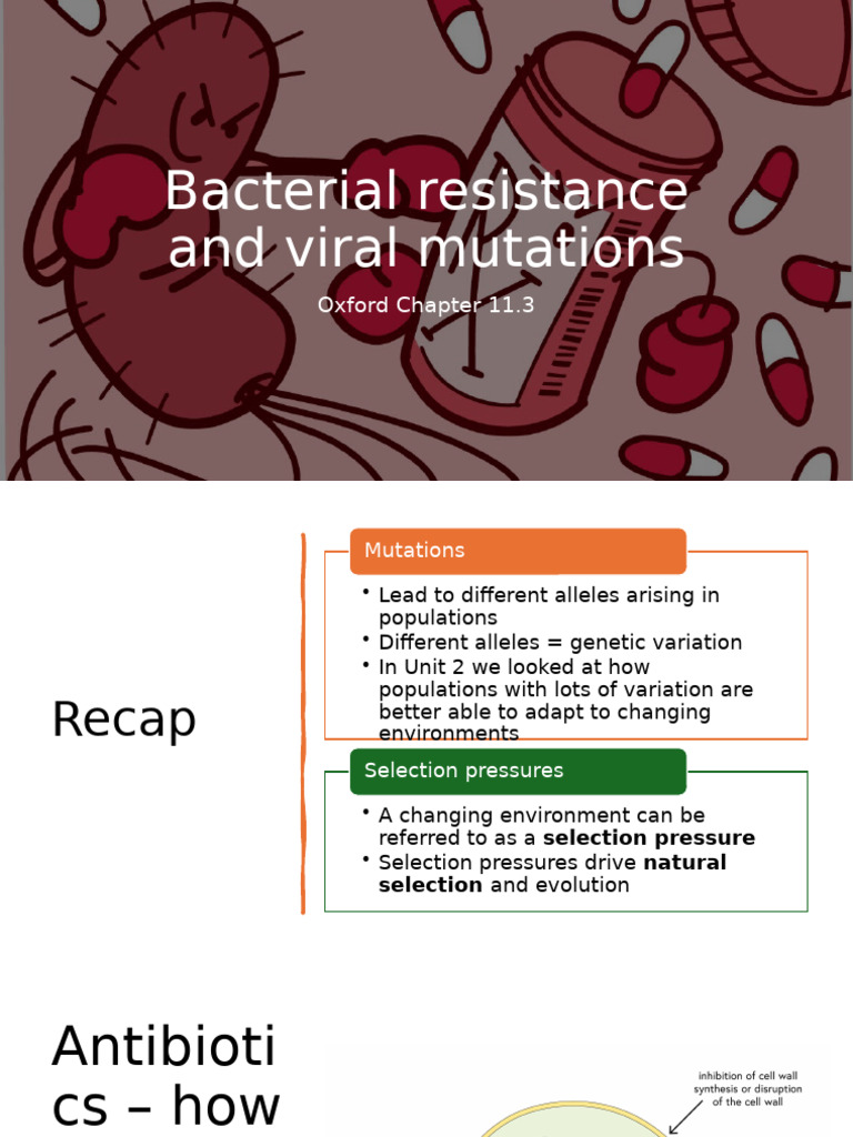 Bacterial and Viral Evolution | PDF | Virus | Antimicrobial Resistance
