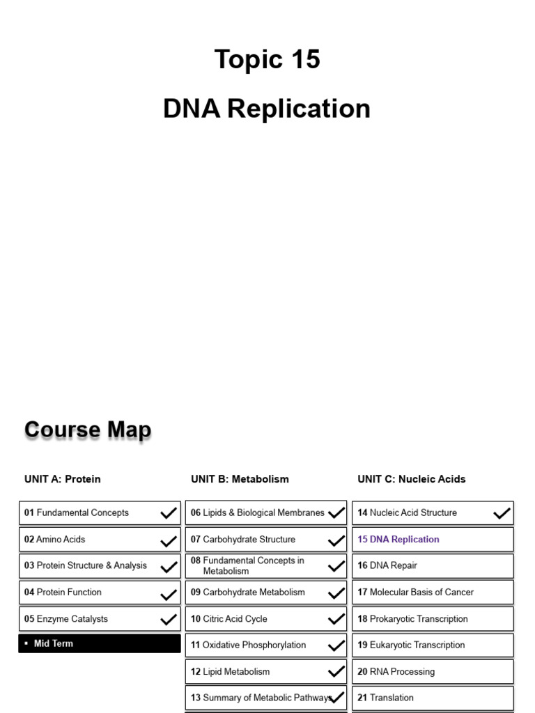 DNA Replication: Key Processes Explained | PDF | Dna Replication ...