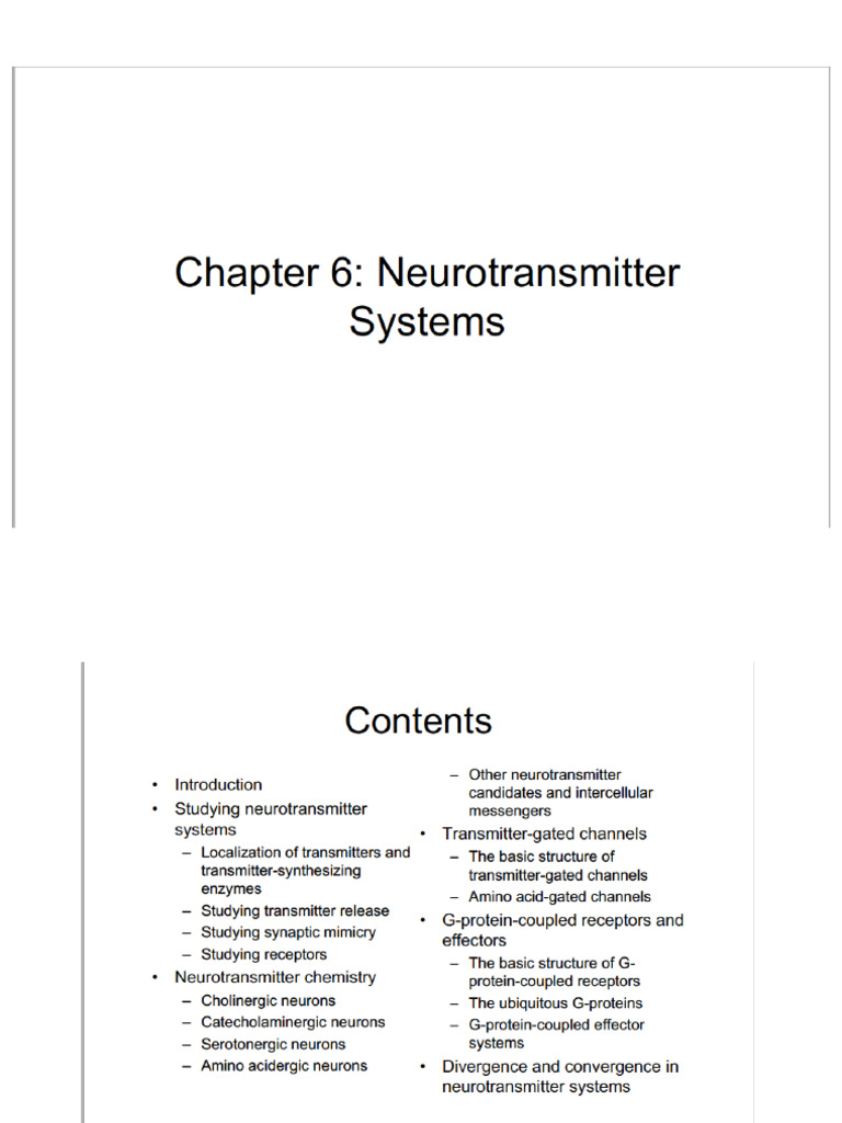 Chapter 6 Neurotransmitter Systems | PDF