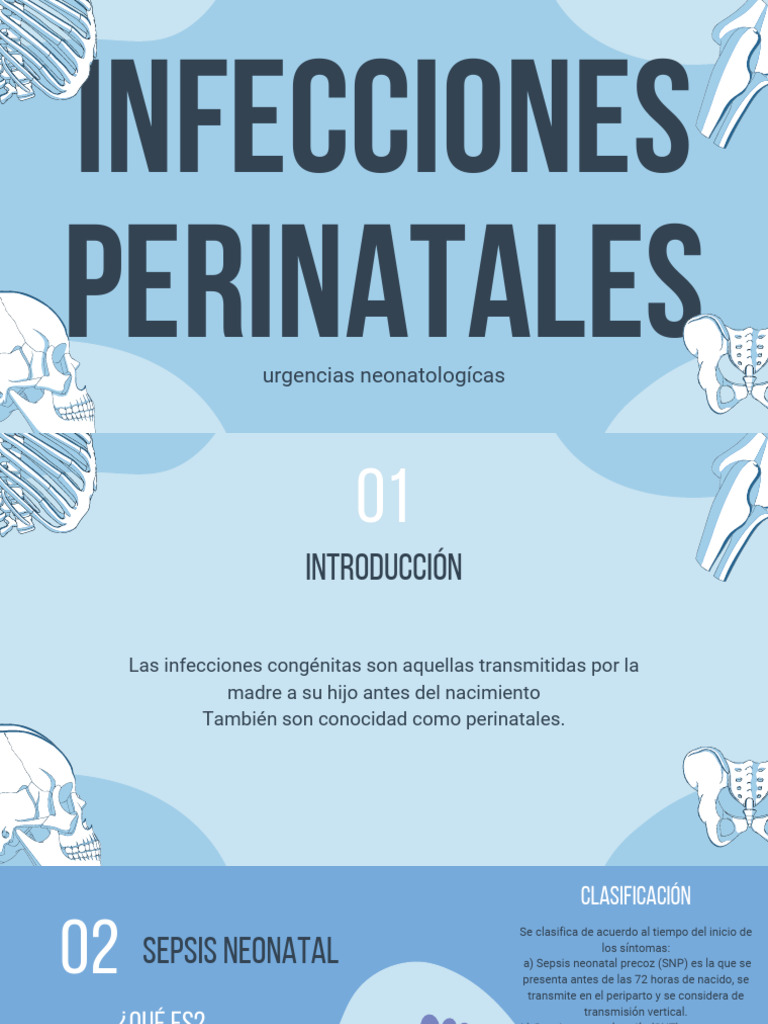 Presentación Diapositivas Anatomía Cuerpo Humano Ilustrativo Simple ...