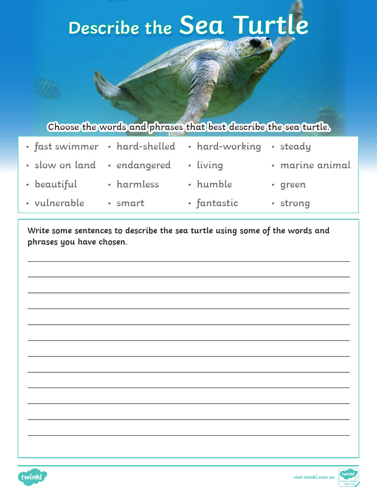 Sea Turtle Worksheet | PDF