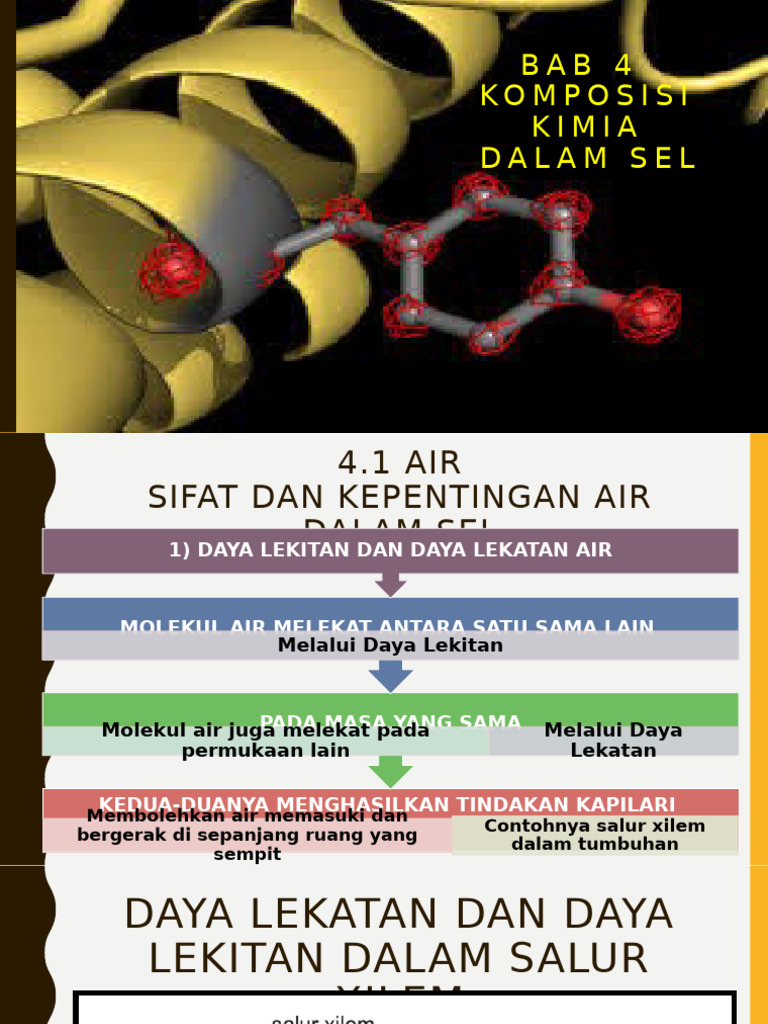 Bio Bab4 F4 | PDF